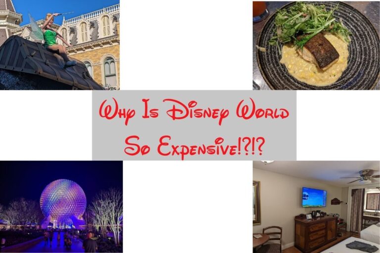 Why Is Disney World So Expensive? What Actually Drives The Cost • WDW ...