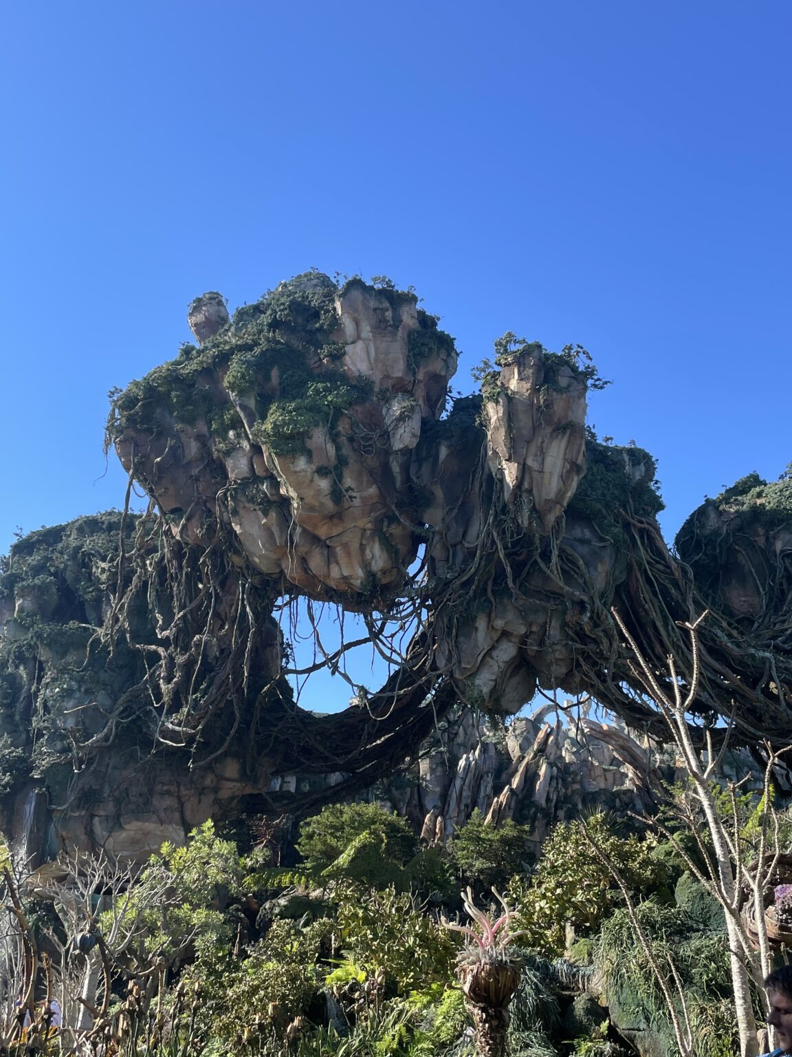 Full Guide To Park Hopping At Disney World 2024 • WDW Travels