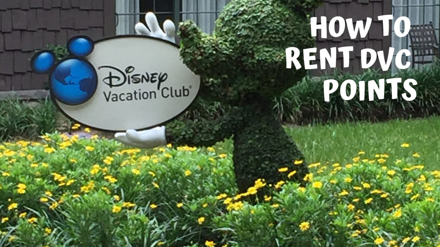 How To Rent DVC Points For Disney World • WDW Travels